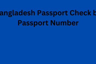 How to check E-Passport status by SMS in online Bangladesh
